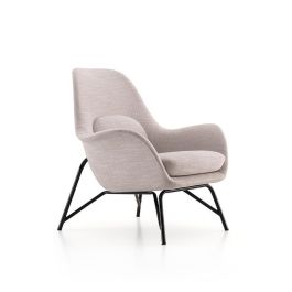 FOTOLIU ADA CREM - PICIOR NEGRU | Arnstore